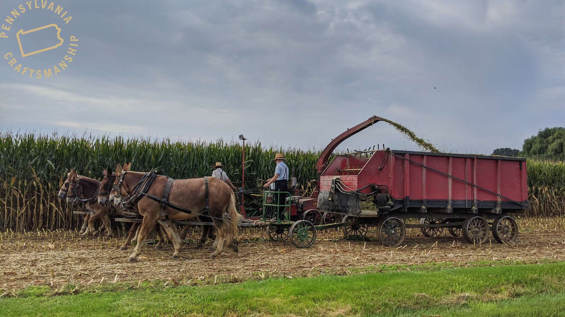 Embracing Tradition: The Amish Harvest Season in Lancaster, Pennsylvania